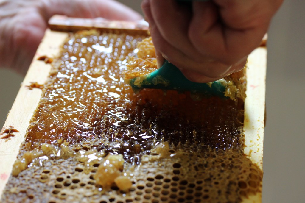 Offerings – ROBERTS CREEK HONEY Co.