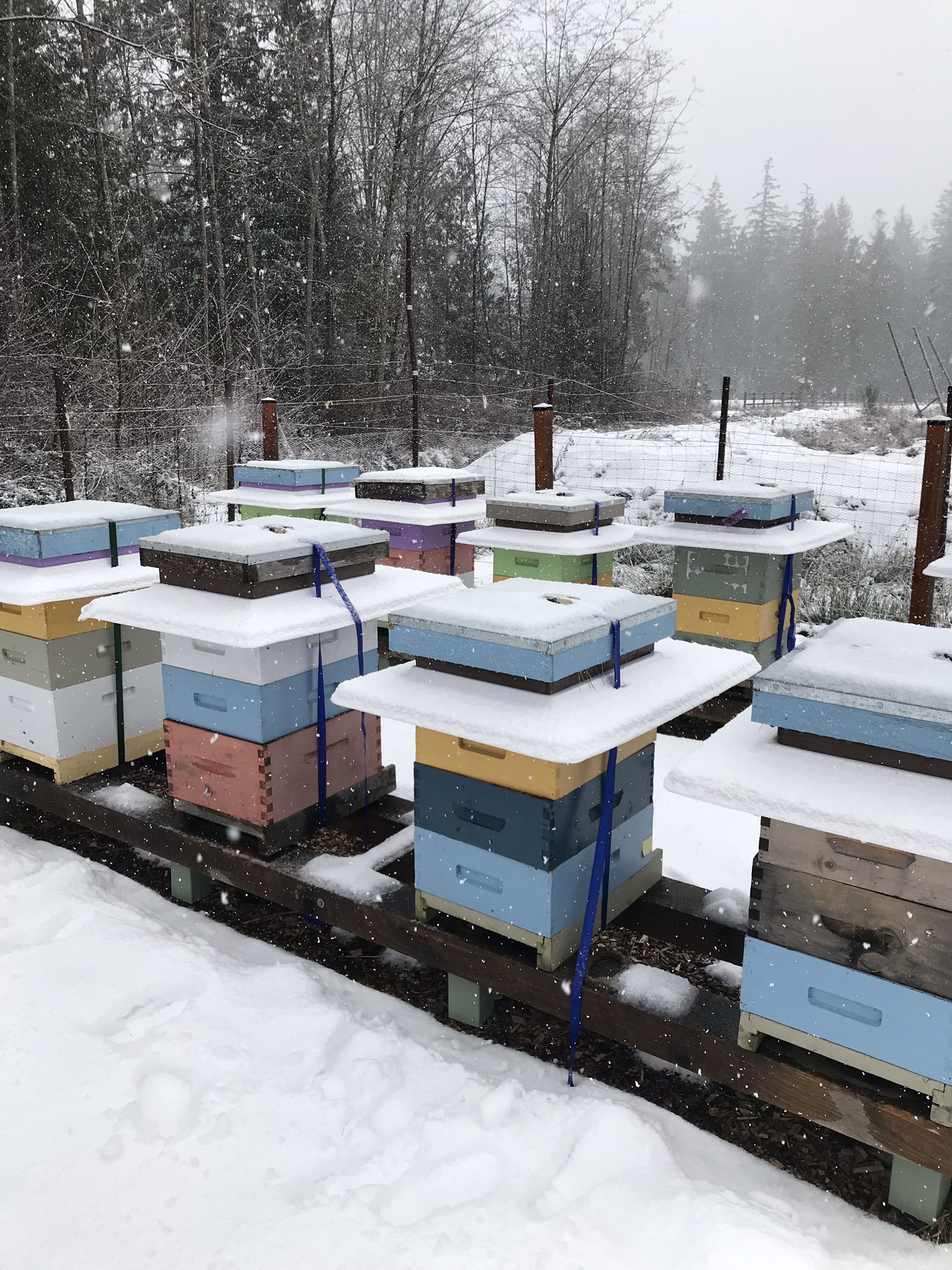 Gear we are working on – ROBERTS CREEK HONEY Co.